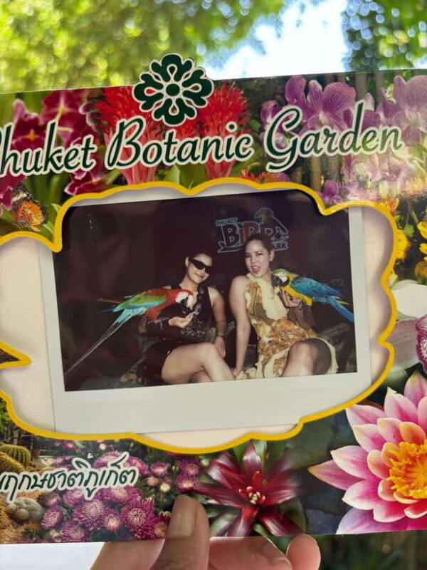 Phuket: Bird Park Entry Ticket - Key Points