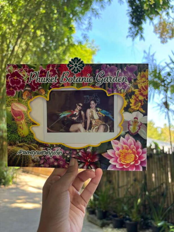 Phuket: Bird Park Entry Ticket - How Does It Compare with Other Activities?