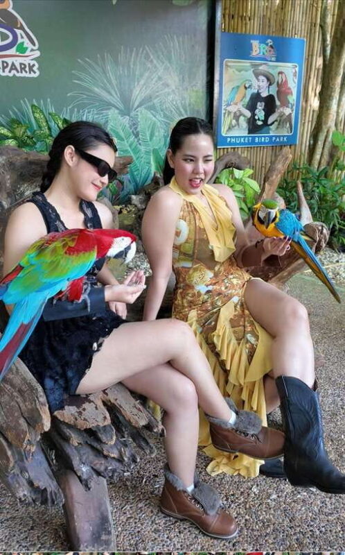 Phuket: Bird Park Entry Ticket - The Bottom Line: Is the Phuket Bird Park Worth It?