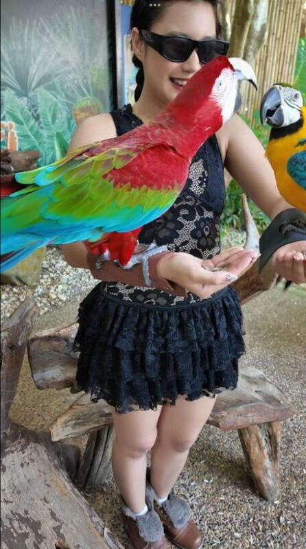 Phuket: Bird Park Entry Ticket - Frequently Asked Questions