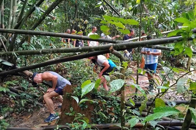 Phuket: Cheow Lan Lake, Diamond Cave, Hiking, All Included - Who Is This Tour Best For?