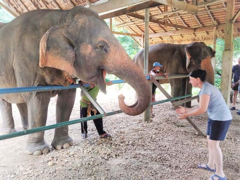 Phuket: Cheow Lan Lake Overnight with Elephant Day Care - Final Thoughts: Who Is This Tour Best For?