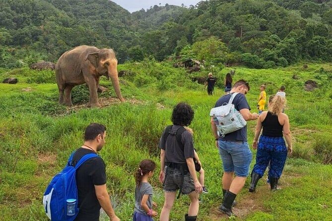 Phuket City Tour & Elephant Sanctuary: Sights, Tastes, Culture - A Deep Dive Into the Experience