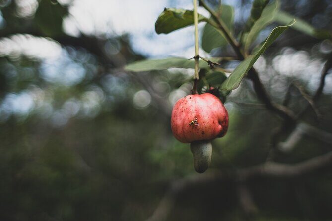 Phuket City Tour Sightseeing and Night Market Everyday - FAQ