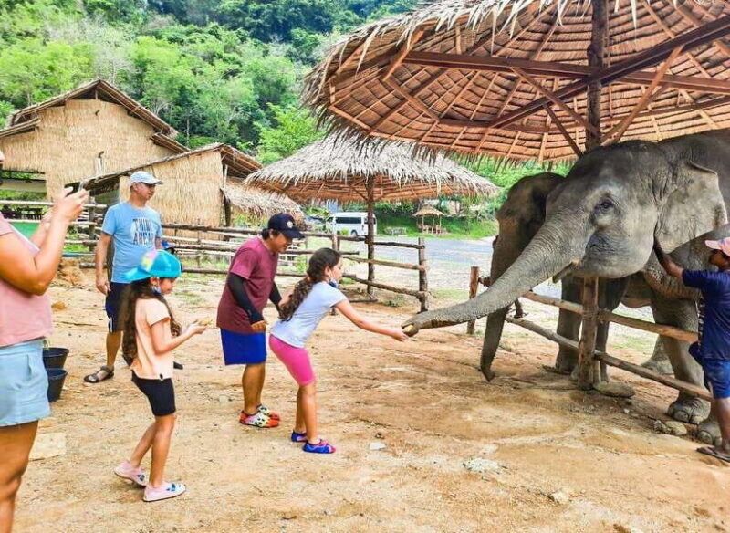 Phuket City Tour with Viewpoints, Temples & Elephant Feeding - What’s Included and What’s Not