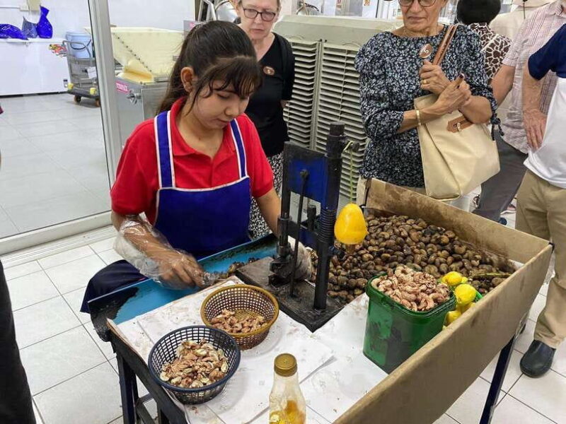 Phuket City Tour with Viewpoints, Temples & Elephant Feeding - The Experience of the Small Group Setting