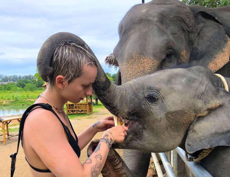 Phuket City Tour with Viewpoints, Temples & Elephant Feeding - Practical Tips for Travelers
