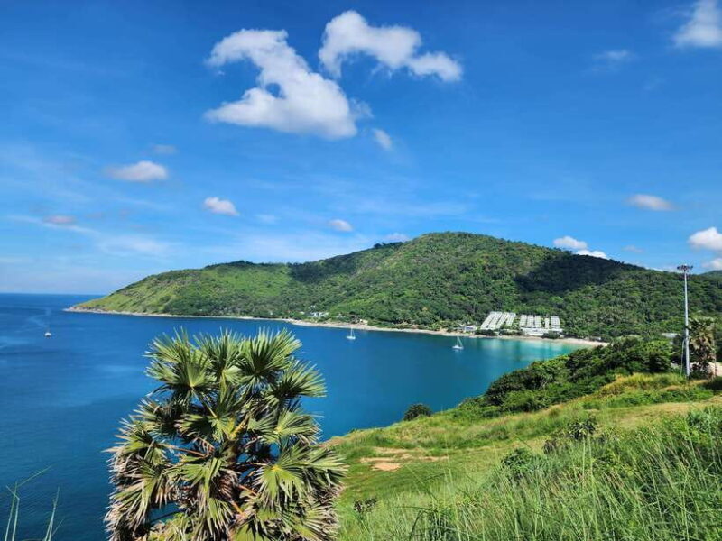 Phuket City Tour with Viewpoints, Temples & Elephant Feeding - Authentic Feedback from Travelers