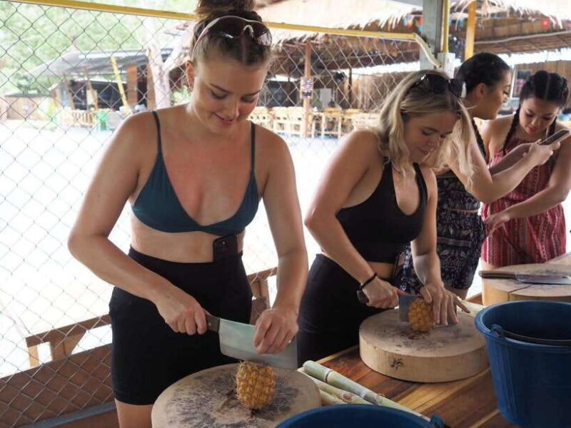 Phuket City Tour with Viewpoints, Temples & Elephant Feeding - The Sum Up: Who Will Love This Tour?