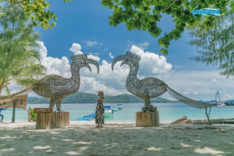 Phuket: Coral Island Day Tour by Speedboat - The Sum Up: Who Is This Tour Perfect For?