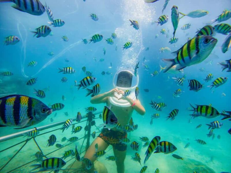 Phuket: Coral Island Day Trip by Speedboat & Buffet Lunch - Who Will Love This Tour?