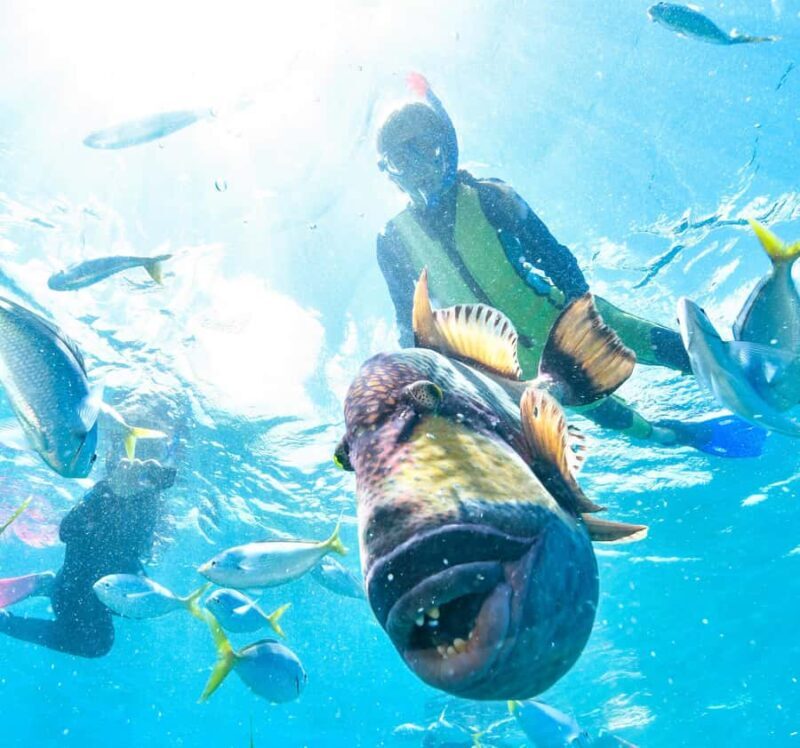 Phuket: Coral Island "Lazy Day" Speedboat Tour - Who Is This Tour Best For?