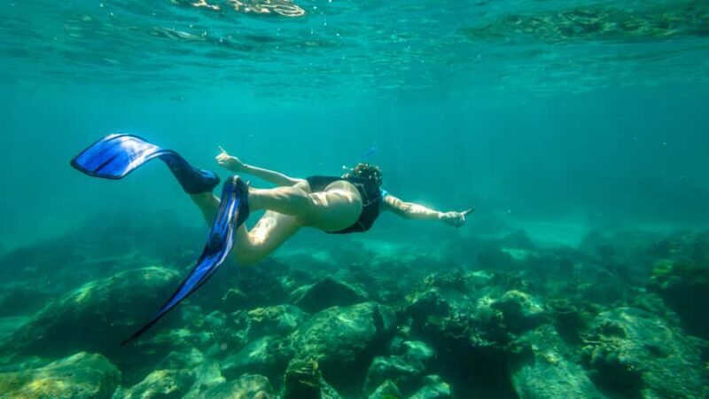 Phuket: Coral Island Longtail Boat Cruise with Snorkeling - Value and Pricing