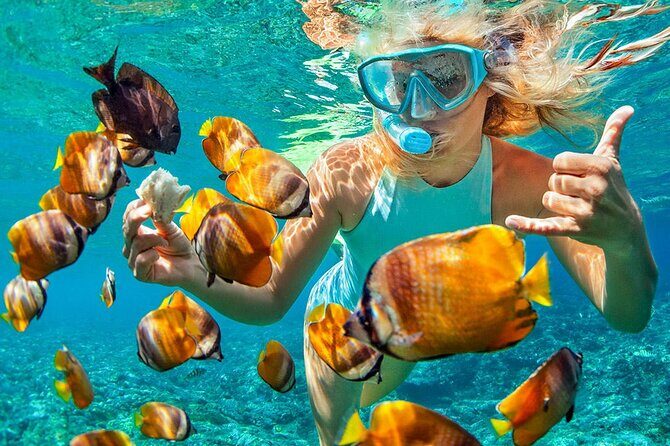 Phuket Coral Island Private Snorkeling Adventure All Inclusive - An In-Depth Look at the Tour Experience