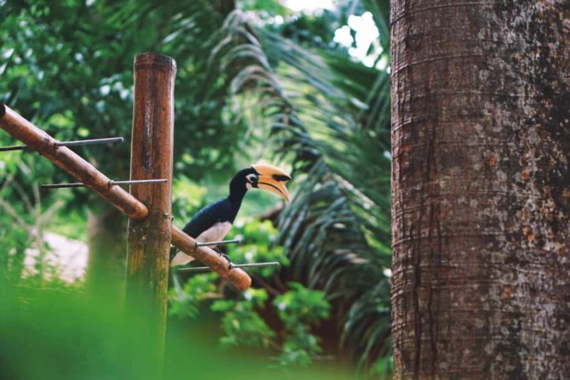 Phuket: Day Trip To Banana Beach Koh Hey By Speedboat - Final Thoughts