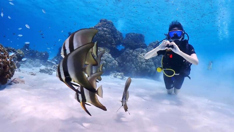 Phuket: Discover Scuba Diving to Racha Yai Island - Key Points