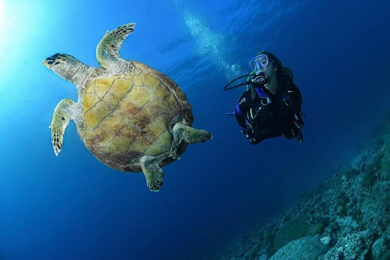 Phuket: Discover Scuba Diving to Racha Yai Island - Authentic Perspectives & Practical Tips