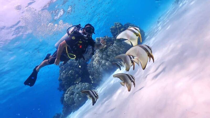 Phuket: Discover Scuba Diving to Racha Yai Island - FAQ