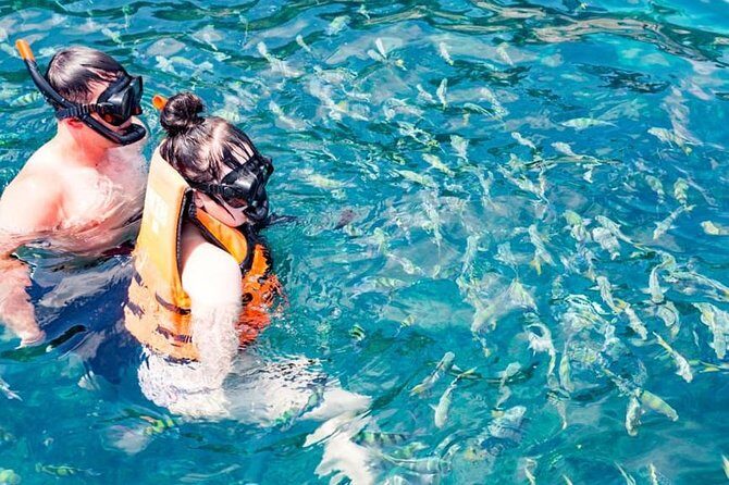 Phuket Dolphin Quest: Racha & Maiton Island Expedition - What You Can Expect: Practical Insights