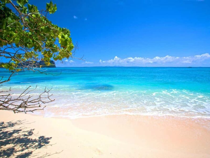 Phuket: Early Speedboat to Phi Phi, Bamboo, Snorkel & Lunch - Feedback from Travelers