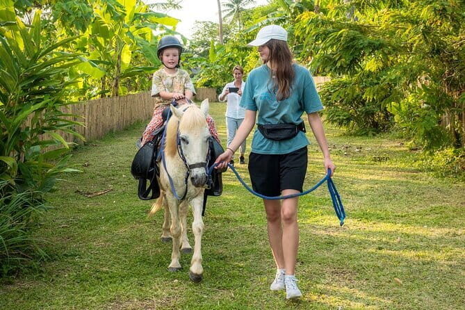 Phuket Eco Friendly Beach Horse Riding Experience - The Sum Up
