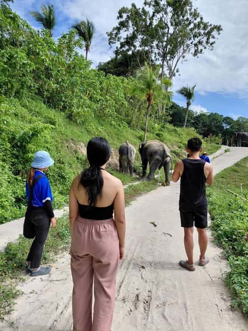 Phuket: Eco Guided Tour at Elephant Sanctuary - Introduction and Briefing