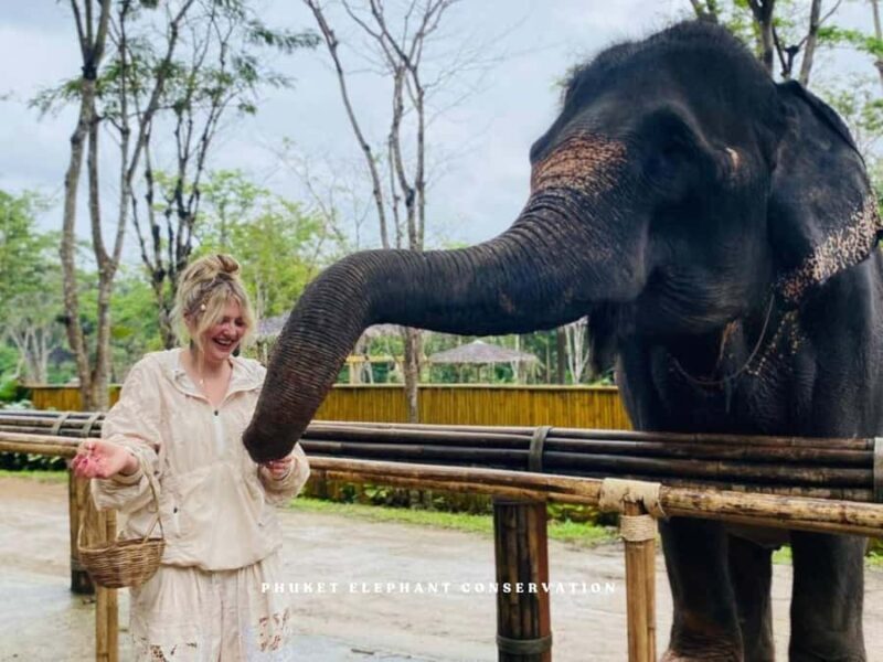 Phuket Elephant Conservation: Half-Day I Cooking Class I DIY - Who Will Appreciate This Experience?