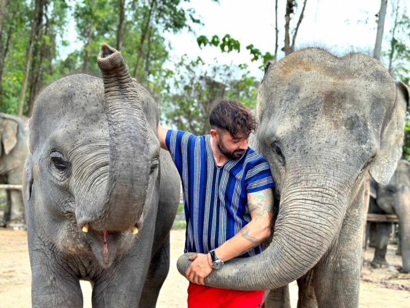 Phuket: Elephant Experience with Lunch or Dinner and Pickup - Key Points