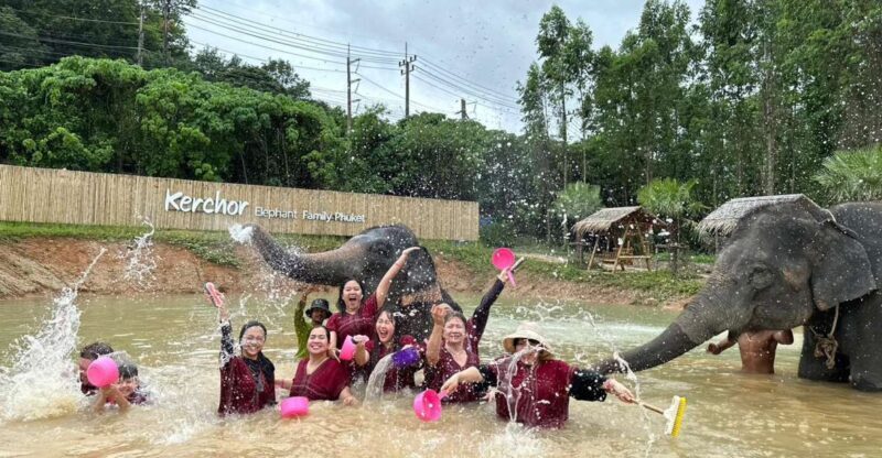 Phuket: Elephant Experience with Lunch or Dinner and Pickup - The Experience in Detail: What Makes It Stand Out