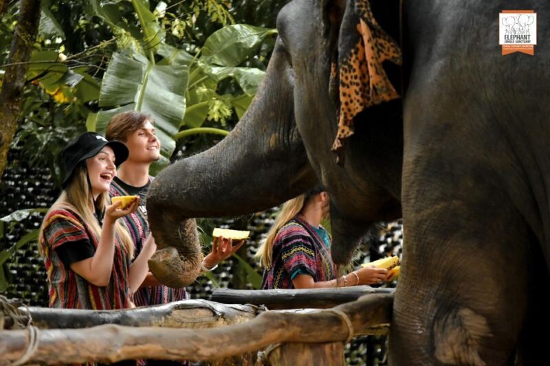 Phuket: Elephant Jungle Sanctuary Ethical Feeding Experience - An Honest Look at the Ethical Elephant Experience in Phuket