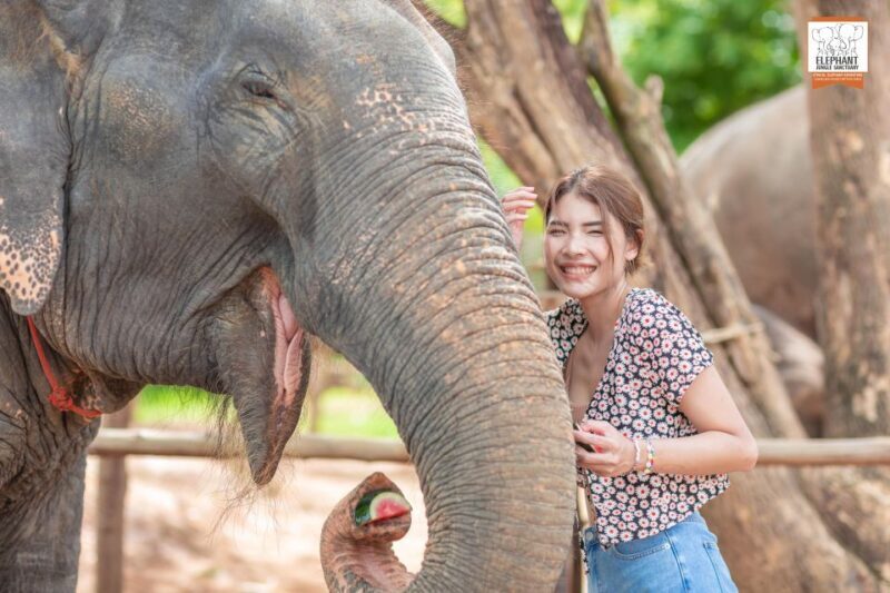 Phuket: Elephant Jungle Sanctuary Ethical Feeding Experience - Authentic Insights from Travelers