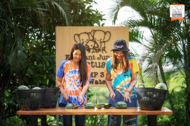 Phuket: Elephant Jungle Sanctuary 'Watch Me' Experience - An In-Depth Look at the Experience