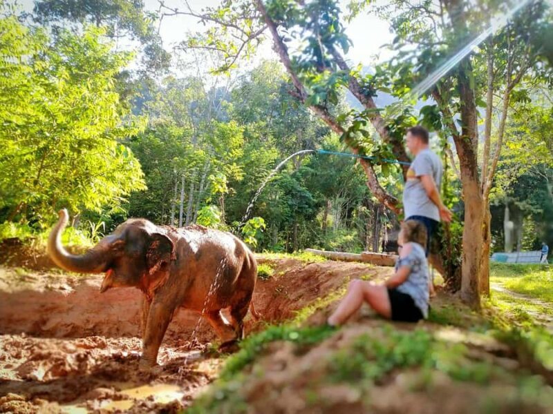 Phuket Elephant Nature Reserve: 90-Minute Elephant Adventure - An Honest Look at the Experience