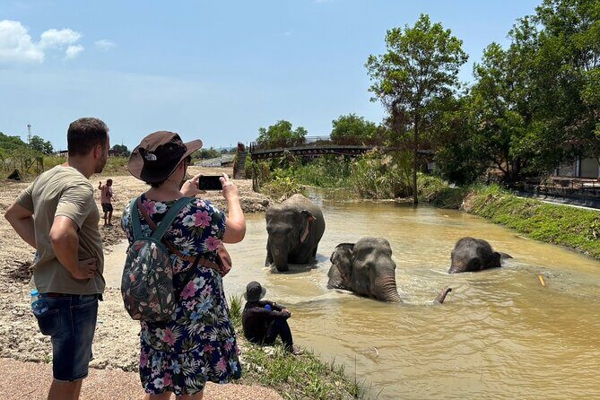 Phuket: Elephant Nature Walk - Guided Tour with Transport - FAQ about the Phuket Elephant Nature Walk
