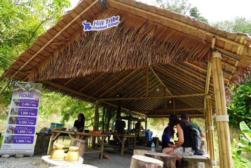 Phuket: Elephant Sanctuary Guided Tour with Hotel Transfers - An Honest Look at the Elephant Sanctuary Tour