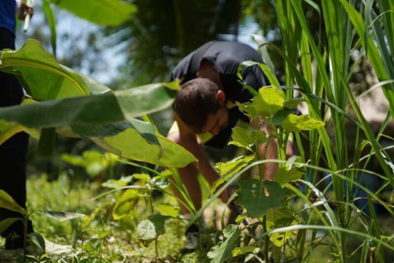 Phuket: Elephant Sanctuary Guided Tour with Hotel Transfers - FAQs