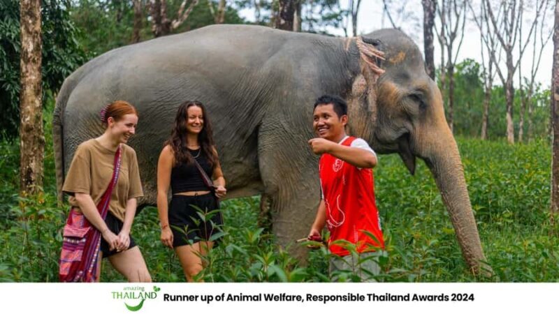 Phuket: Elephant Sanctuary Tour, Cooking Class & Lunch - Key Points