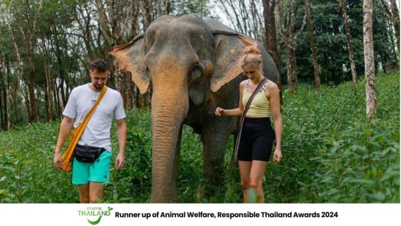 Phuket: Elephant Sanctuary Tour, Cooking Class & Lunch - Who Will Love This Tour?