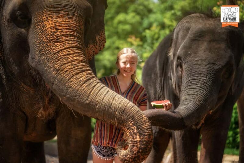 Phuket: Elephant Sanctuary Tour - Mud Spa & Swim - Key Points