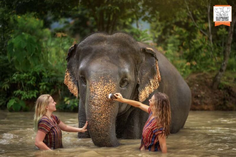 Phuket: Elephant Sanctuary Tour - Mud Spa & Swim - An In-Depth Look at the Experience
