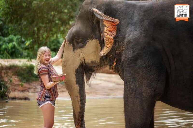 Phuket: Elephant Sanctuary Tour - Mud Spa & Swim - Who Will Enjoy This Tour?