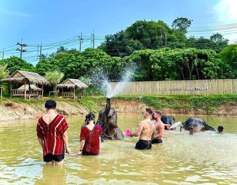 Phuket: Elephant Sanctuary Visit with Mud Spa & Workshop - Authentic Feedback from Past Travelers