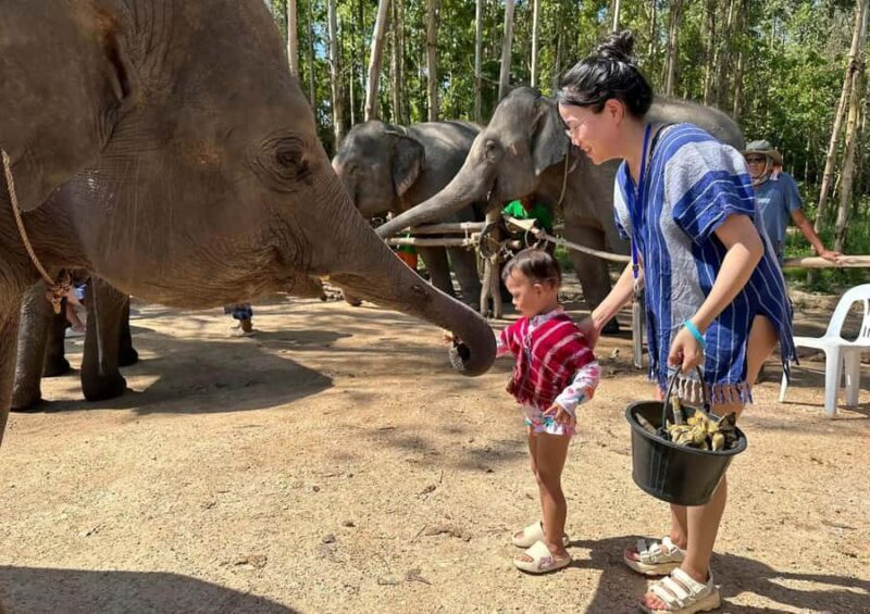 Phuket: Elephant Sanctuary Visit with Mud Spa & Workshop - Who This Tour Is Perfect For