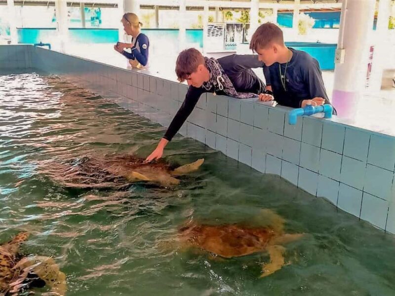 Phuket: Elephant & Sea Turtle Conservation Tour with Rafting - Authentic, Responsible, and Well-Organized