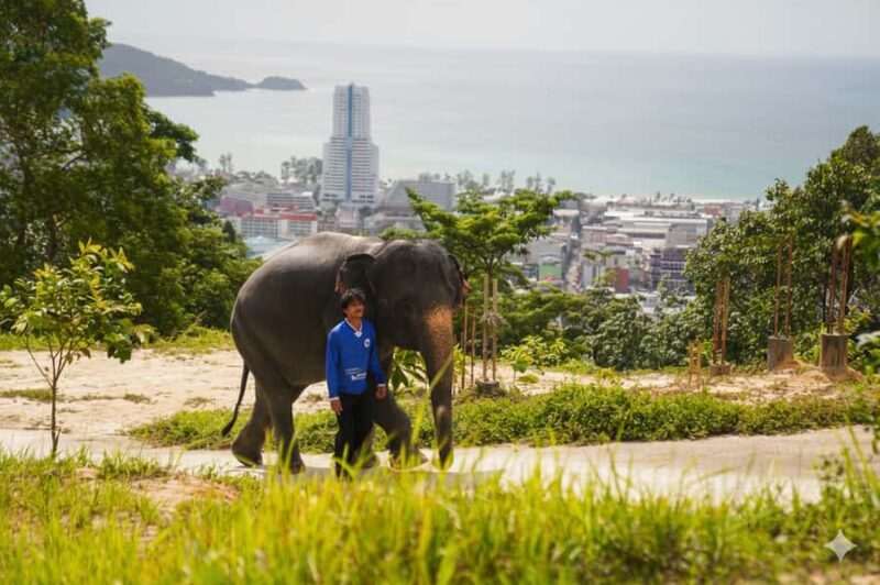 Phuket: Elephant Village & City Tour with Zipline & ATV - FAQ