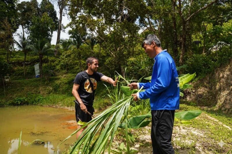 Phuket: Elephant Village & City Tour with Zipline & ATV - Final Thoughts