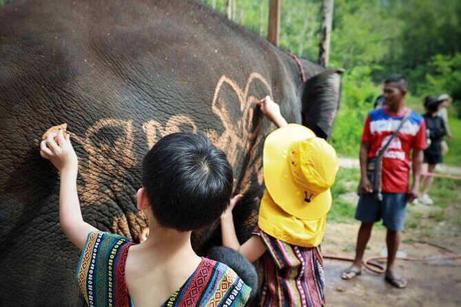 Phuket Ethical Elephant Care Sanctuary Nai Dee Half-Day or 2-Hour - Introduction