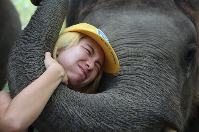 Phuket Ethical Elephant Care Sanctuary Nai Dee Half-Day or 2-Hour - Final Thoughts