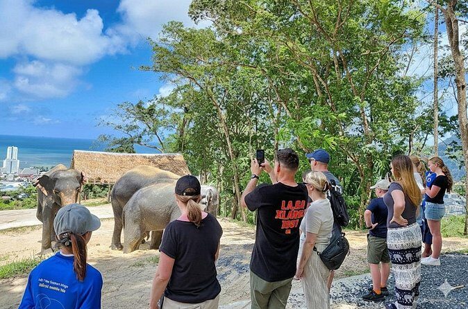 Phuket Ethical Elephant Sanctuary Guided Tour and Hotel Transfers - Who Should Consider This Tour?