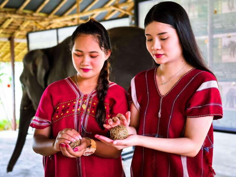 Phuket : Experience feeding and bathing elephants 1.5 Hrs. - Key Points